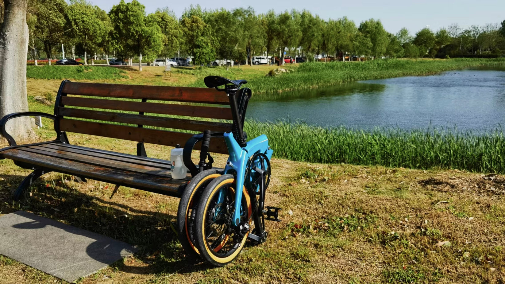 LiDrop folding bike Carbon Fiber Ultra light bike 16" inch wheel 5 spe ...