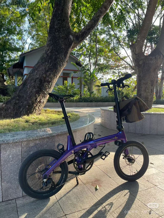 LiDrop folding bike Carbon Fiber Ultra light bike 16" inch wheel 5 spe ...