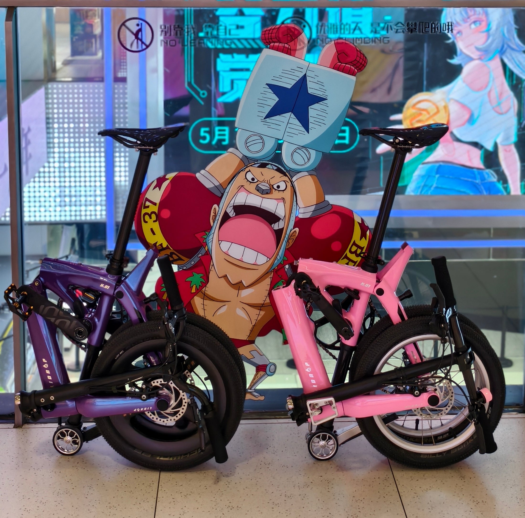 LiDrop folding bike Carbon Fiber Ultra light bike 16" inch wheel 5 spe ...