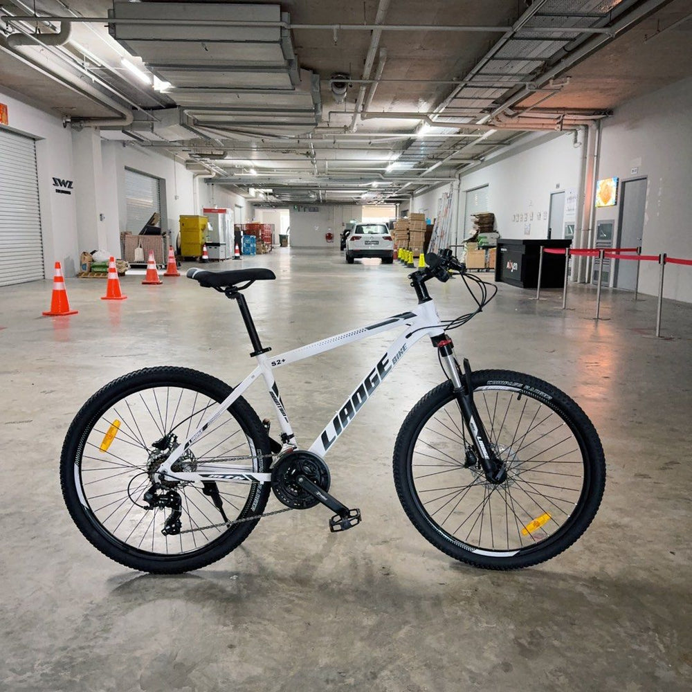 Collections – Liaoge Singapore Pte Ltd / UEN 202133428G